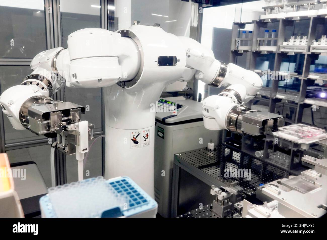 Mahoro, a humanoid lab assist robot holds test tubes at RIKEN, in Kobe ...