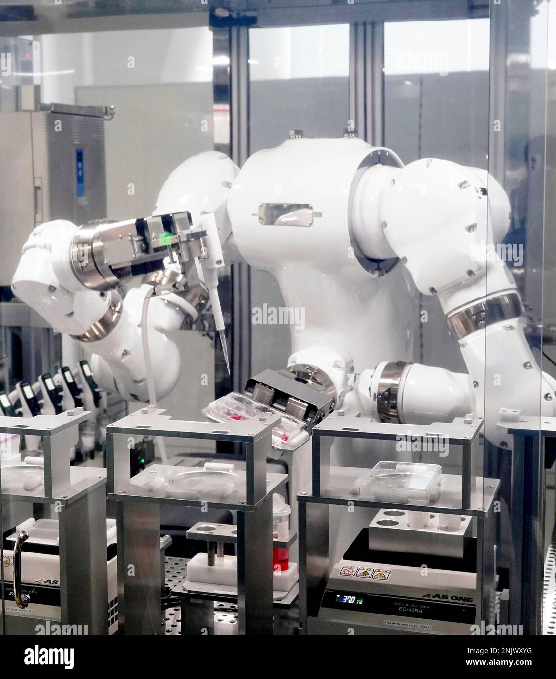 Mahoro, a humanoid lab assist robot holds test tubes at RIKEN, in Kobe ...