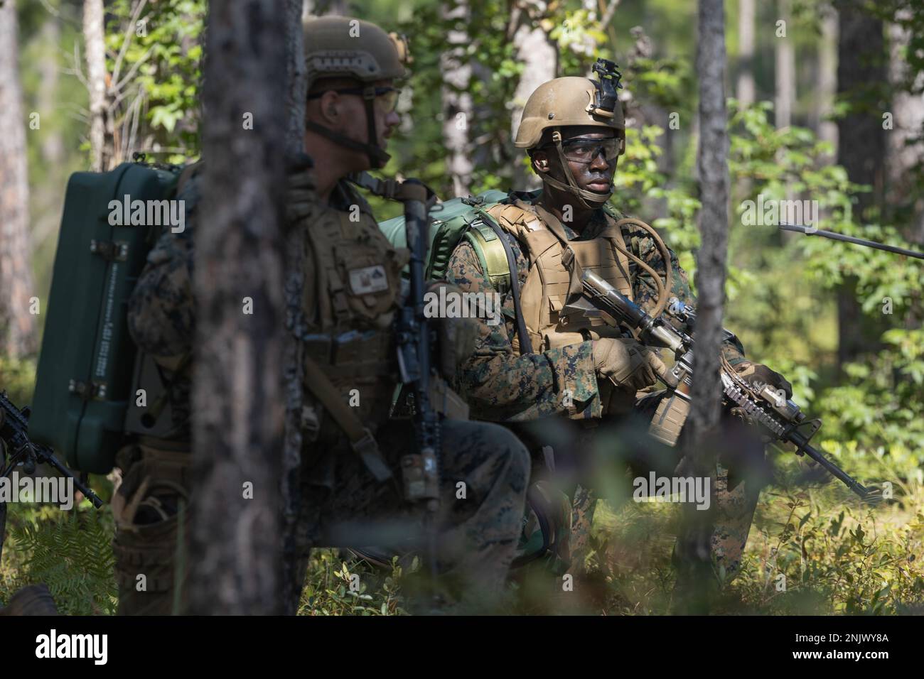 U.S. Marines with 2d Combat Engineer Battalion (CEB), 2d Marine ...