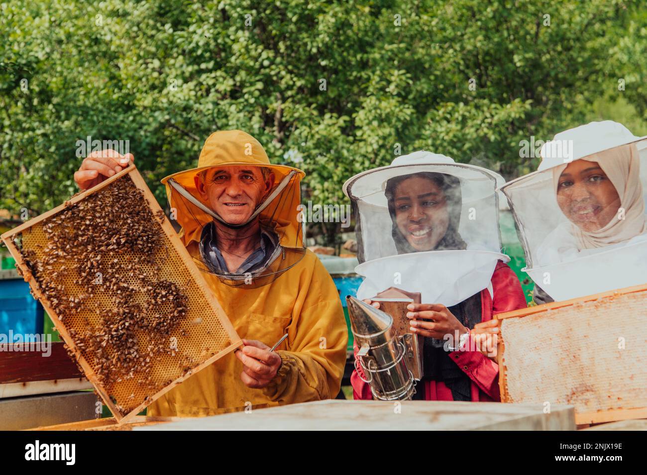 Arab investors checking the quality of honey on a large bee farm in ...