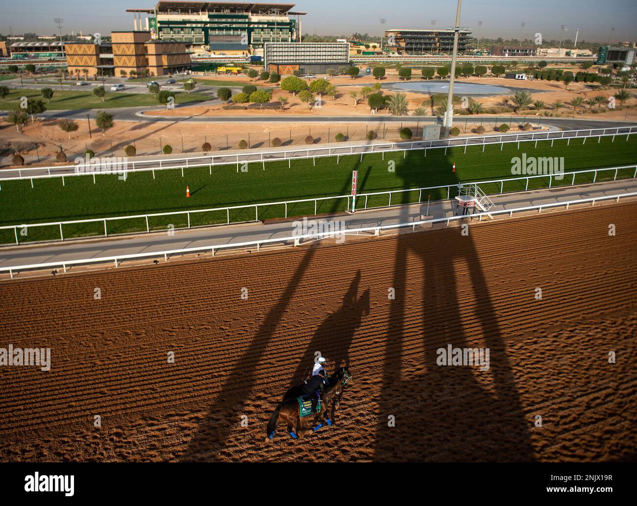 The Saudi Cup contender Country Grammer comes to the morning track work ...