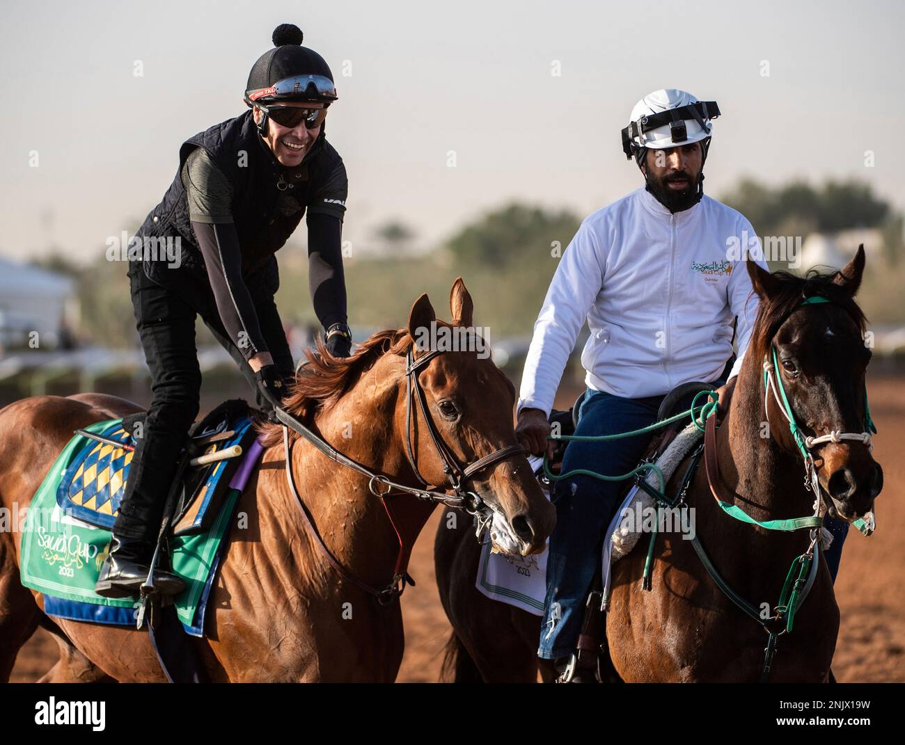 The Saudi Cup contender Taiba is led to the morning track work at the ...