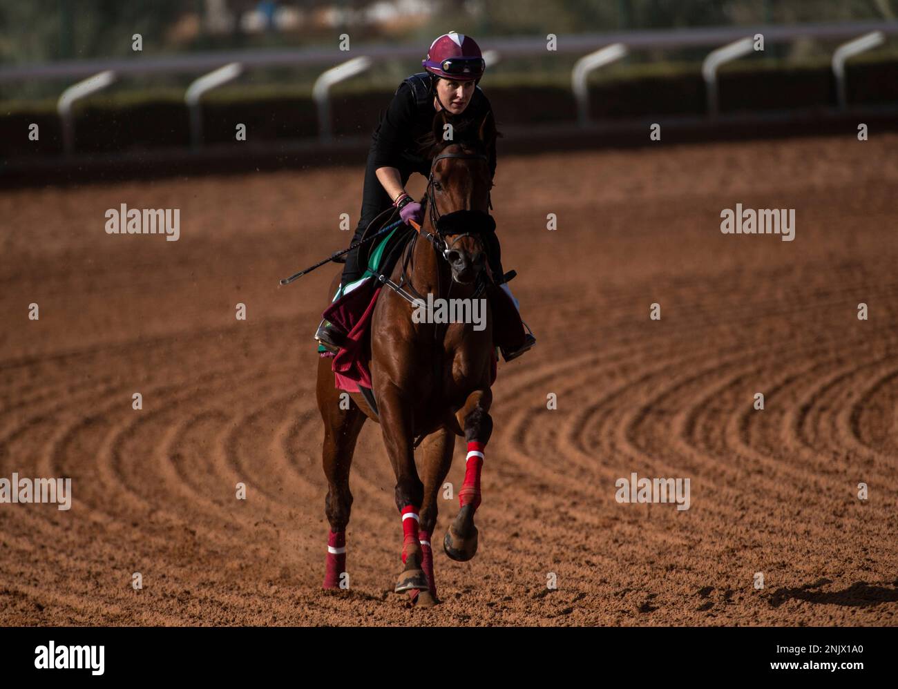 The Saudi Cup contender Remorse gallops under Caroline Joyce Seemar in ...