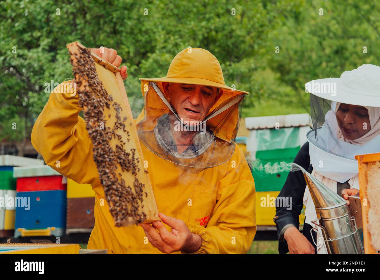 African American Muslim women with an experienced senior beekeeper ...