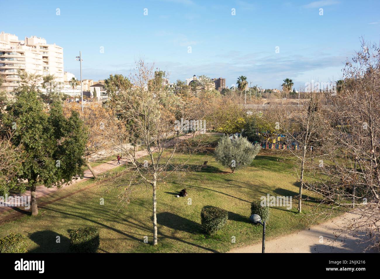 Turia gardens hi-res stock photography and images - Alamy