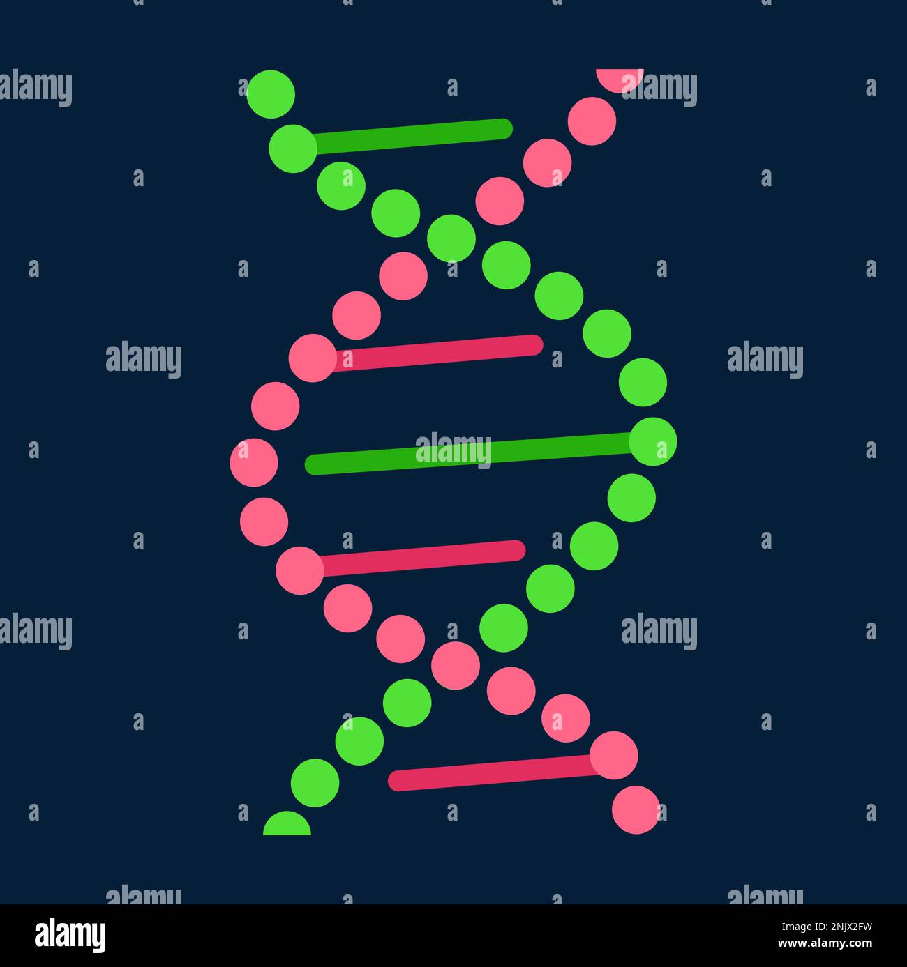 Genetic code isolated twisted DNA molecule helix cartoon structure. Vector gene spiral or ...
