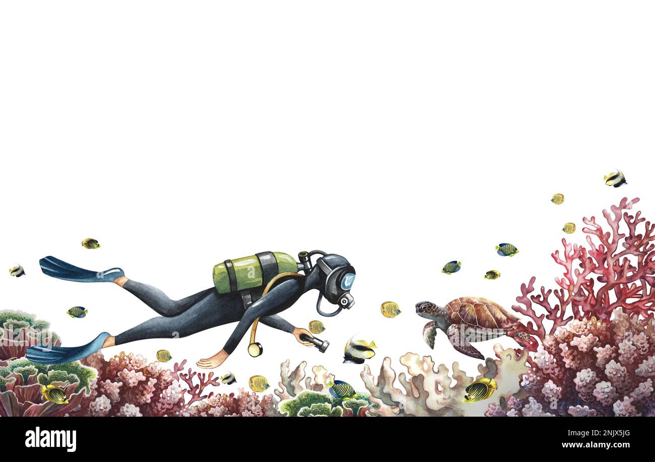 Diver swim underwater. Underwater travel. Watercolor hand drawn. On a ...