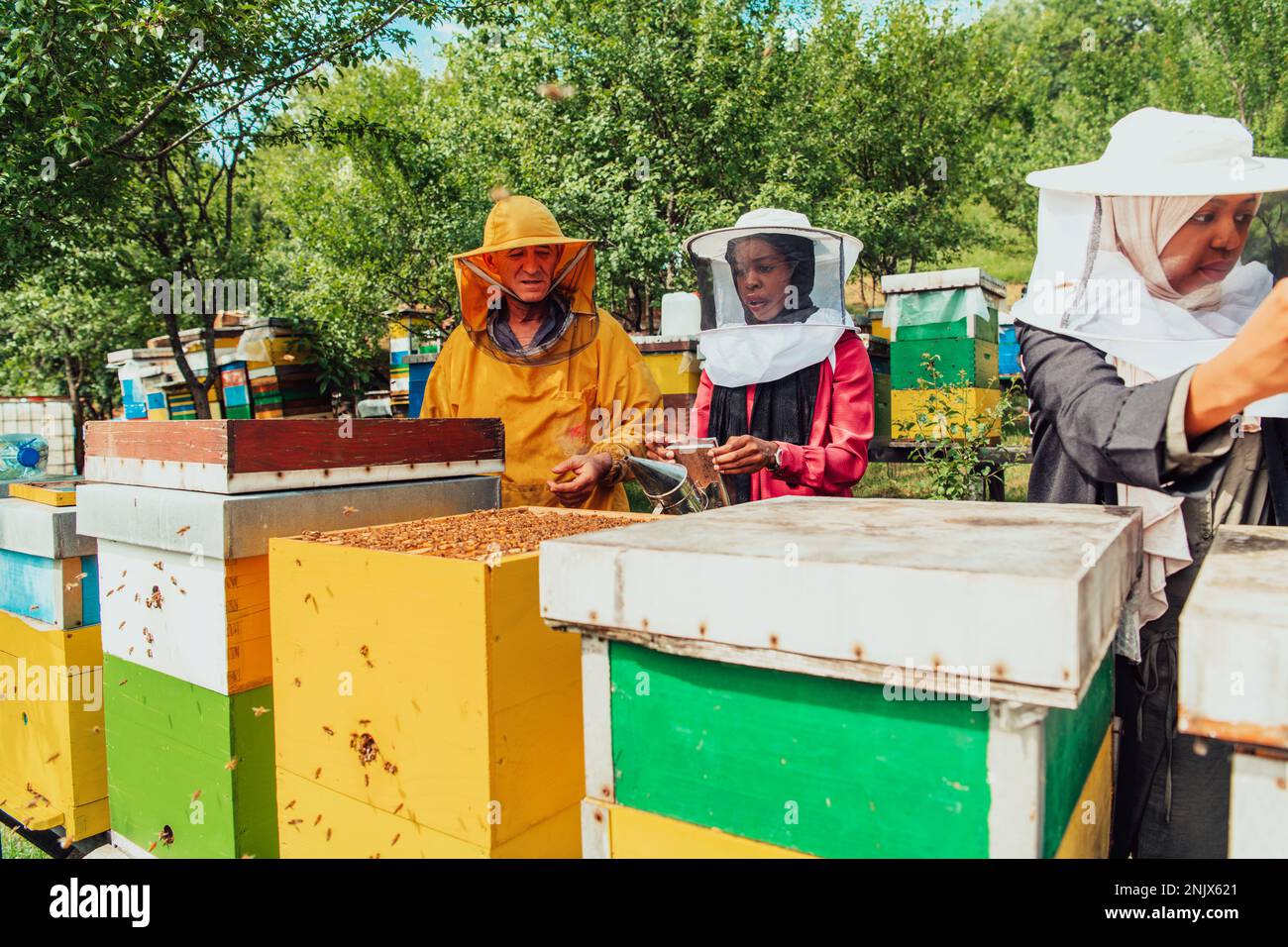 Arab investors checking the quality of honey on a large bee farm in which they have invested ...