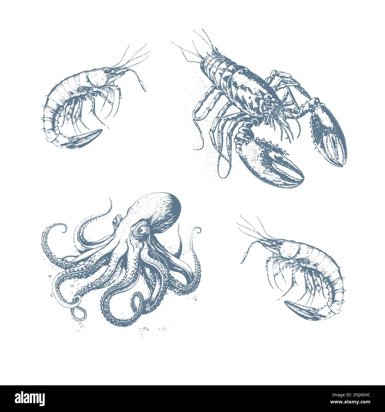 Seafood big set. Ink sketch isolated on white background. Hand drawn ...