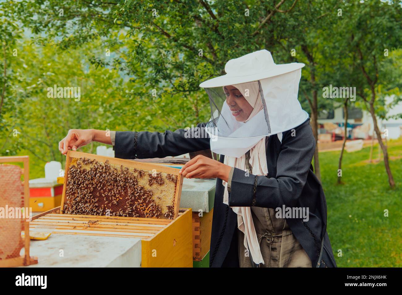 Hijab Arabian woman checking the quality of honey on the large bee farm ...