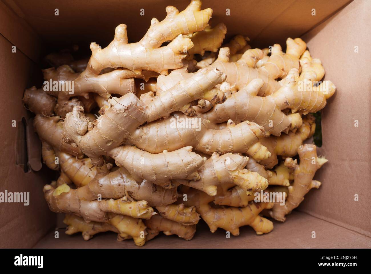 Cardboard box filled with fresh ginger roots, as seen from a top-down ...