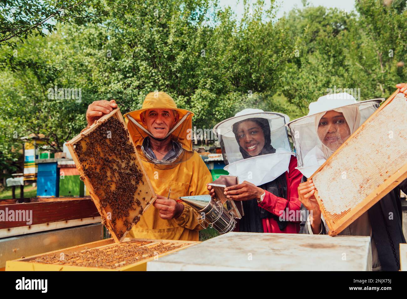 Arab investors checking the quality of honey on a large bee farm in ...