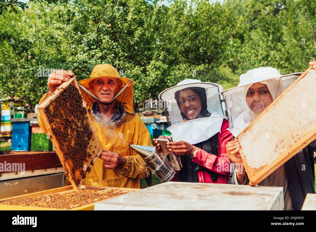 Arab investors checking the quality of honey on a large bee farm in ...