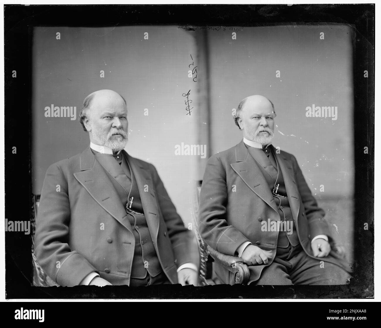 Burch Cut Out Stock Images & Pictures - Alamy