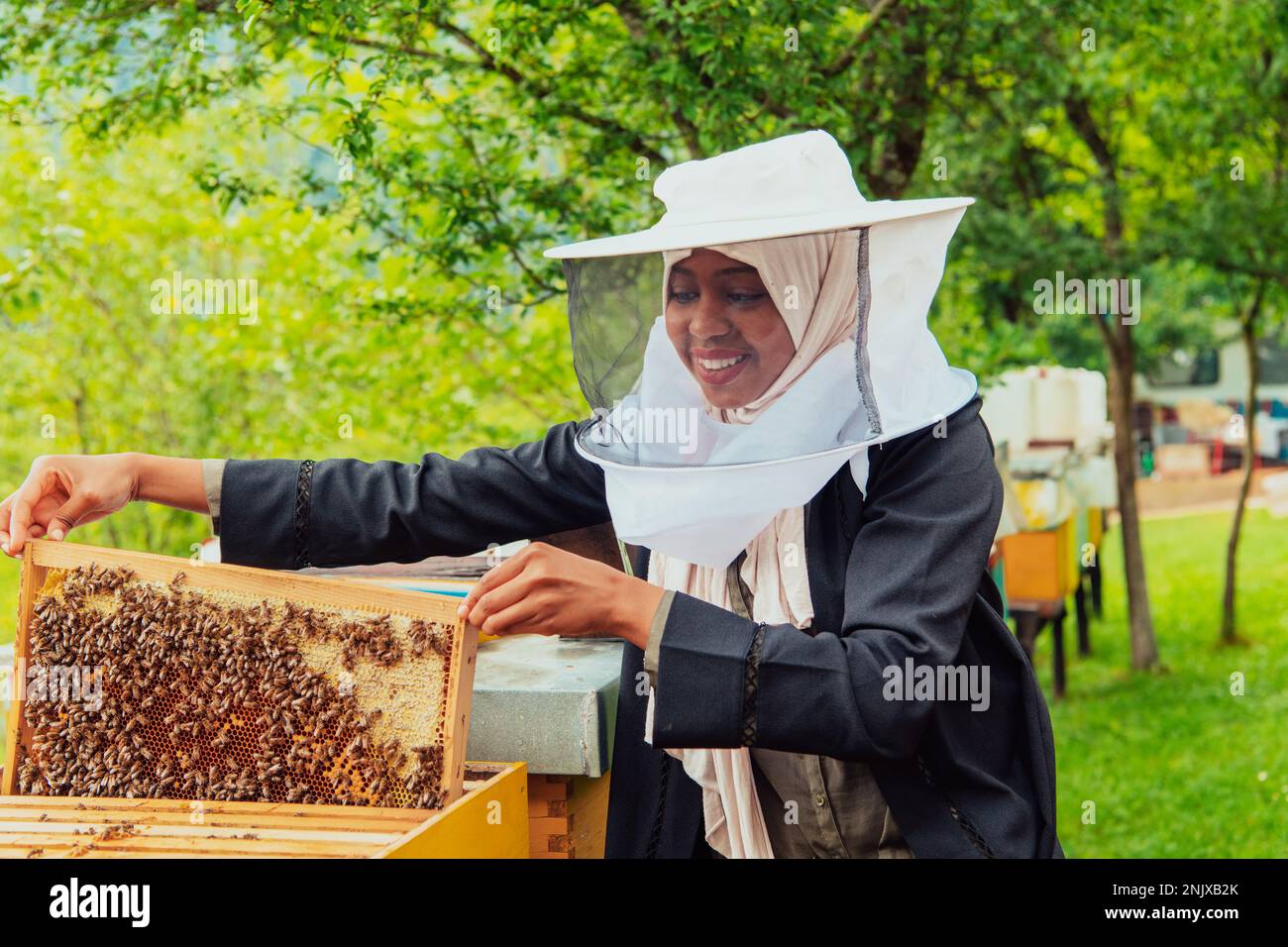 Hijab Arabian woman checking the quality of honey on the large bee farm ...