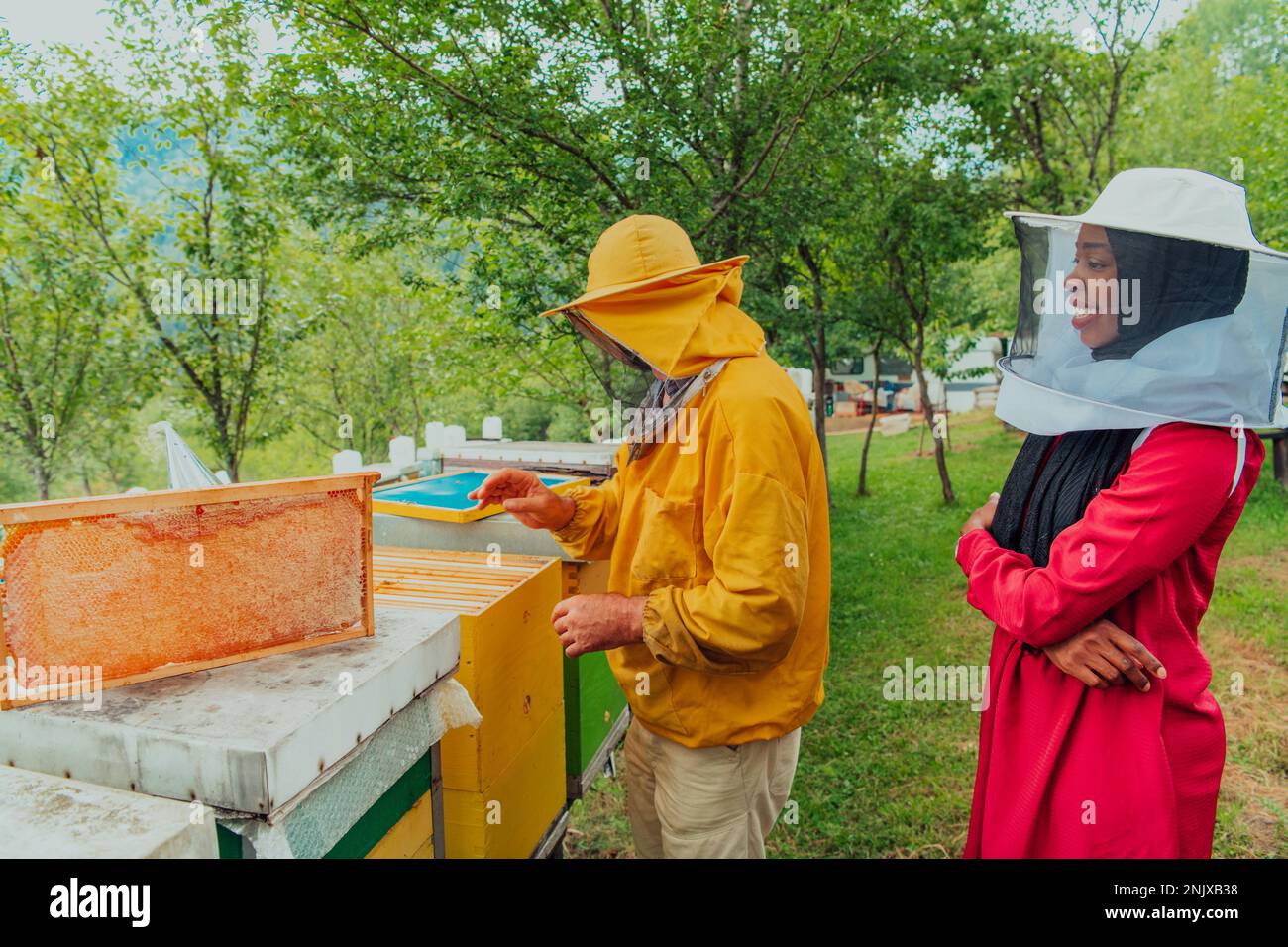 African American Muslim women with an experienced senior beekeeper ...