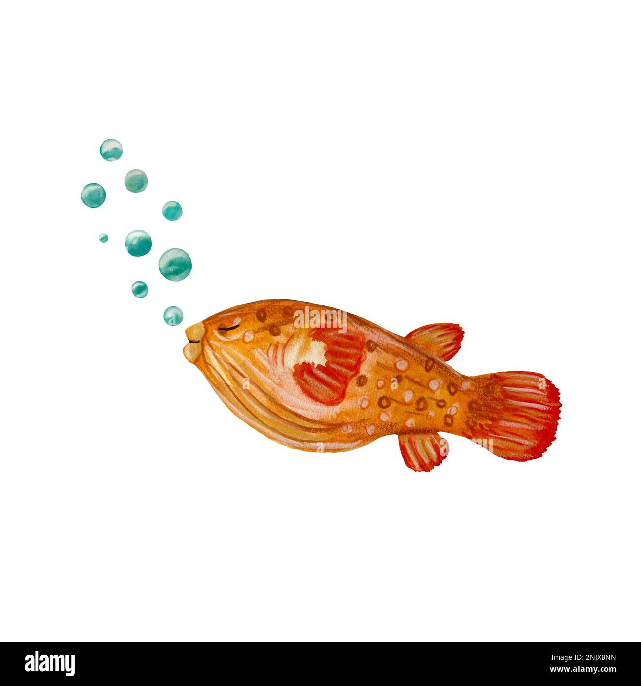 Fish red bubbles ocean sea watercolor illustration Stock Photo - Alamy