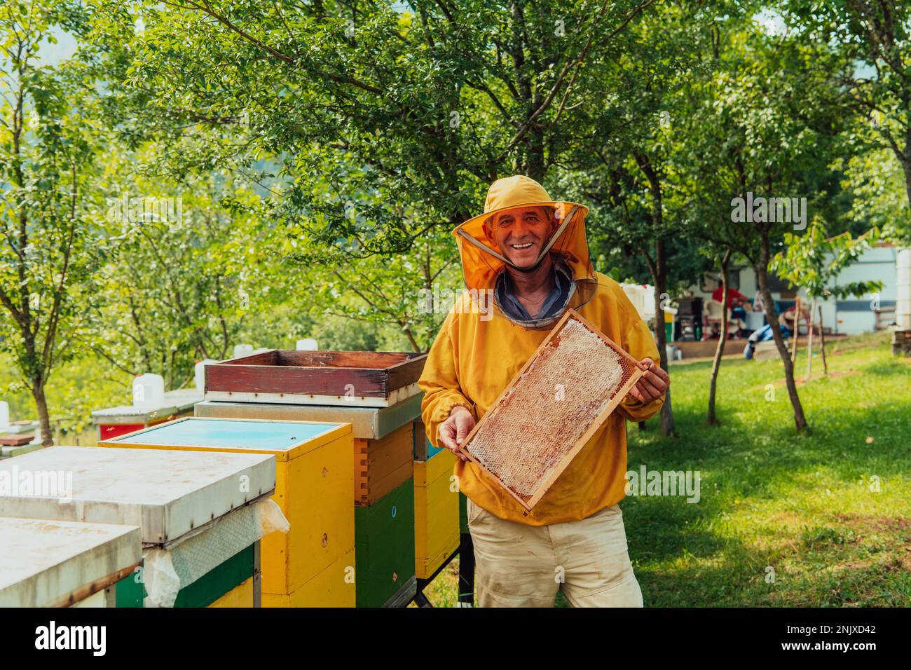 Senior beekeeper checking how the honey production is progressing ...