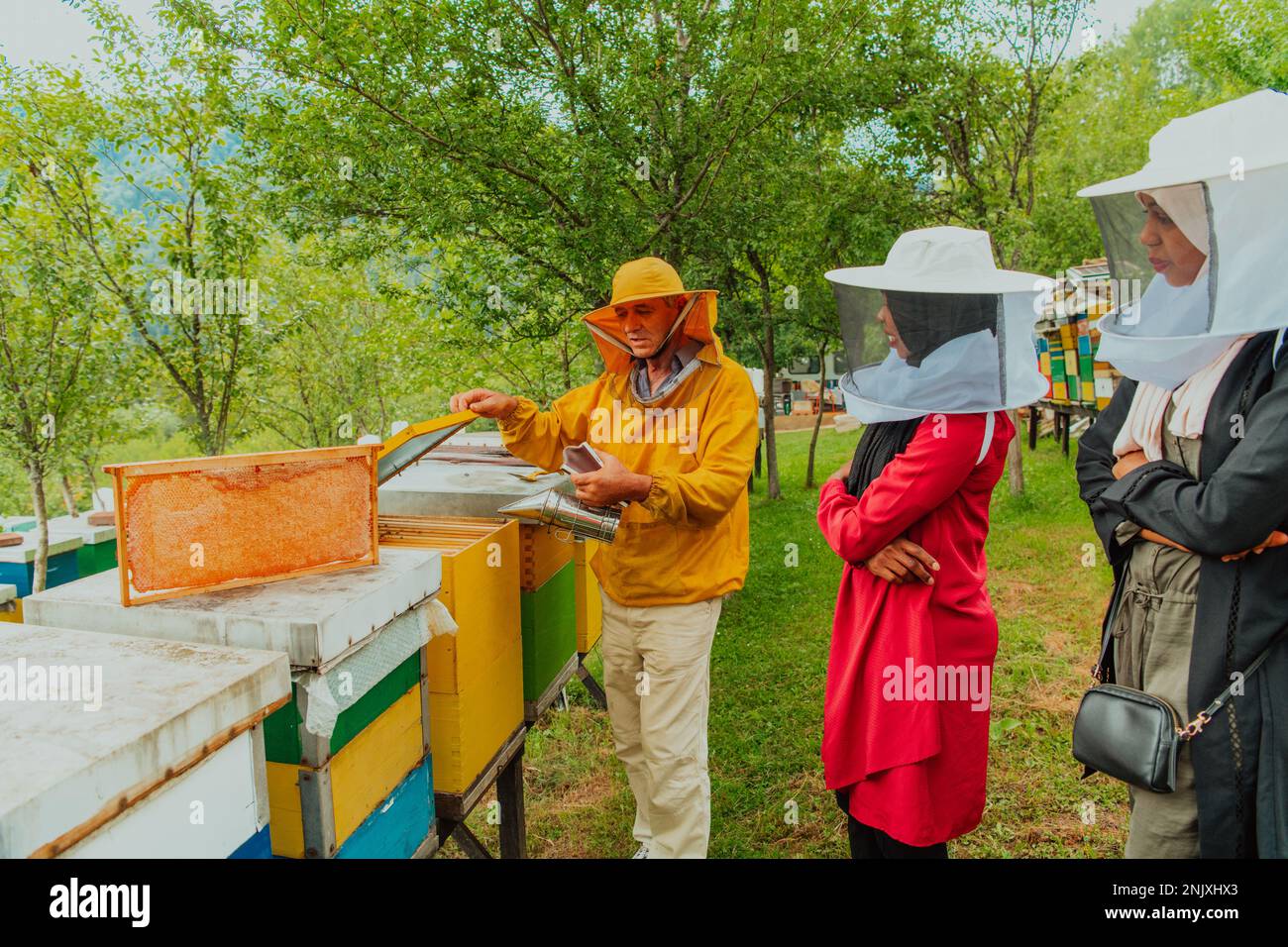 Business partners with an experienced senior beekeeper checking the ...