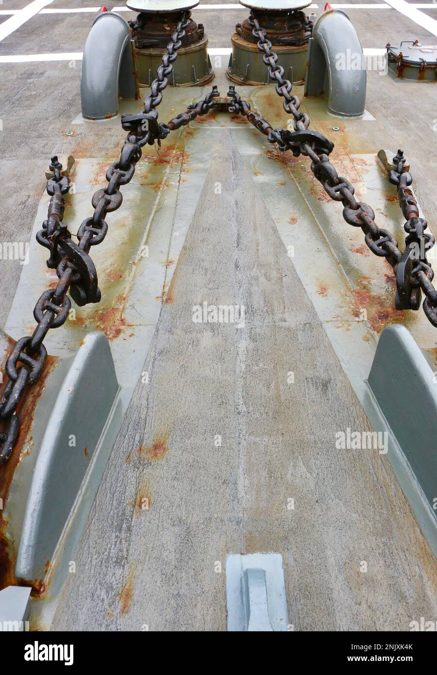 Serviola p 71 hi-res stock photography and images - Alamy