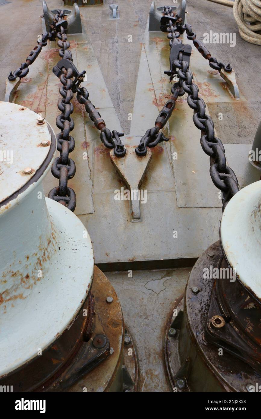 Serviola p 71 hi-res stock photography and images - Alamy