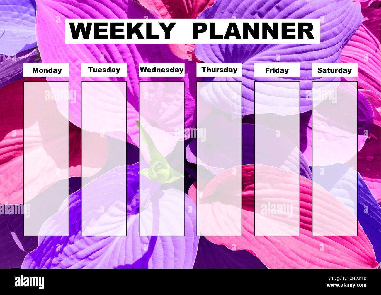 Beautiful weekly planner, school timetable education, can be used as an ...