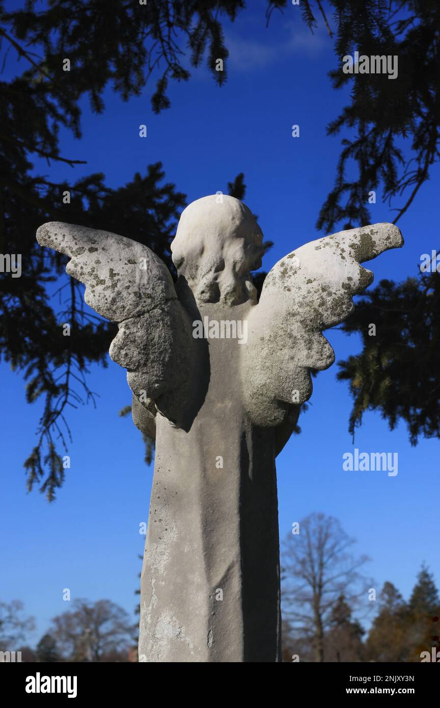 The back of a young angel with wings facing away Stock Photo - Alamy