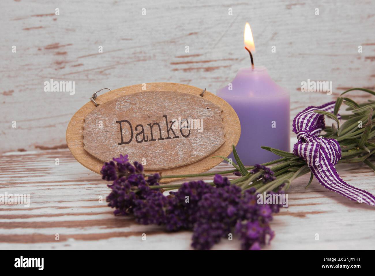 English lavender (Lavandula angustifolia, Lavandula officinalis ...