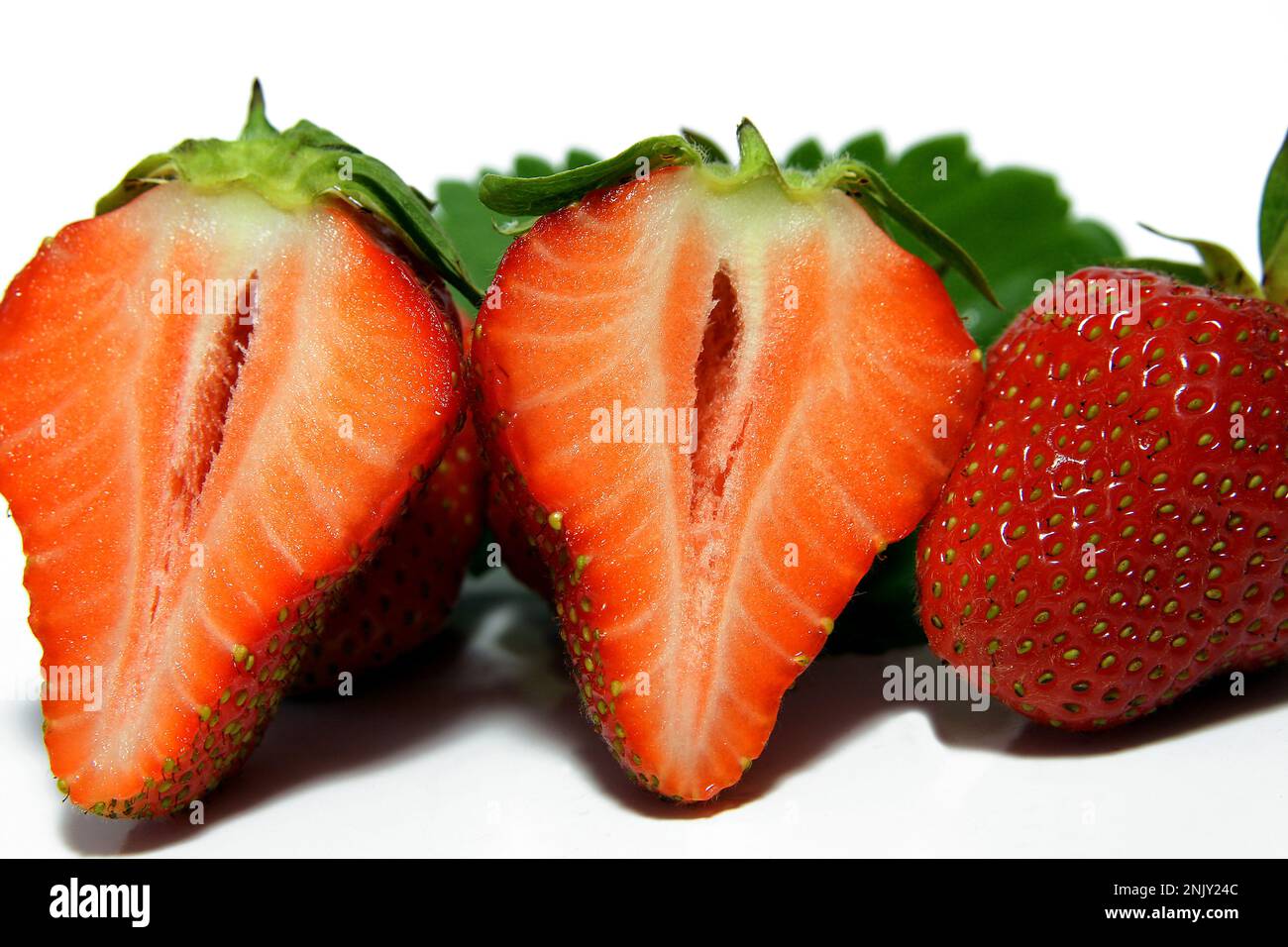 hybrid strawberry, garden strawberry (Fragaria x ananassa, Fragaria ...