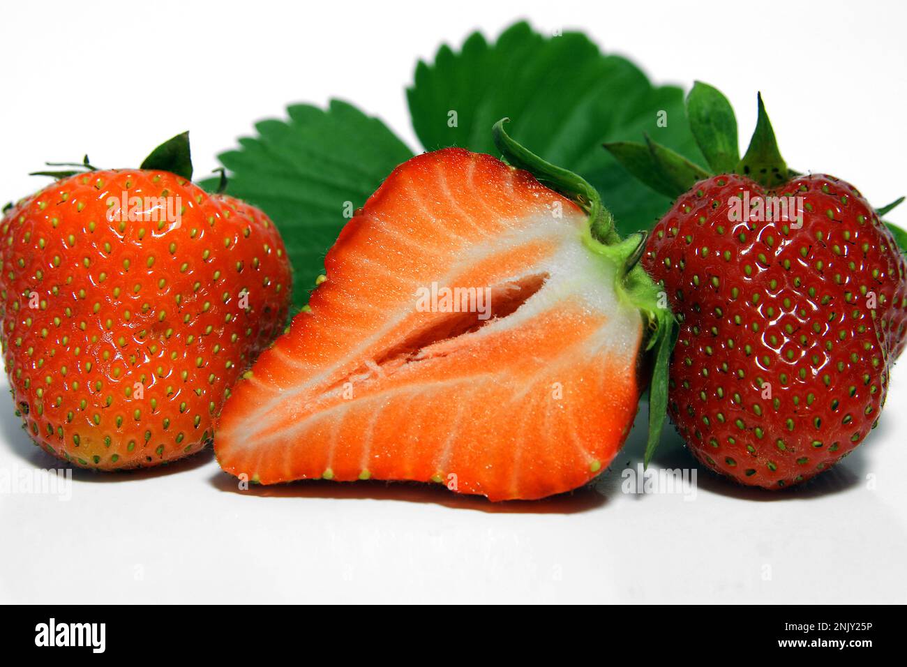 hybrid strawberry, garden strawberry (Fragaria x ananassa, Fragaria ...
