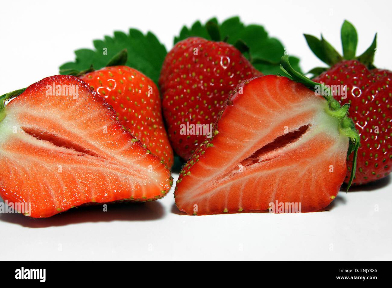 hybrid strawberry, garden strawberry (Fragaria x ananassa, Fragaria ...