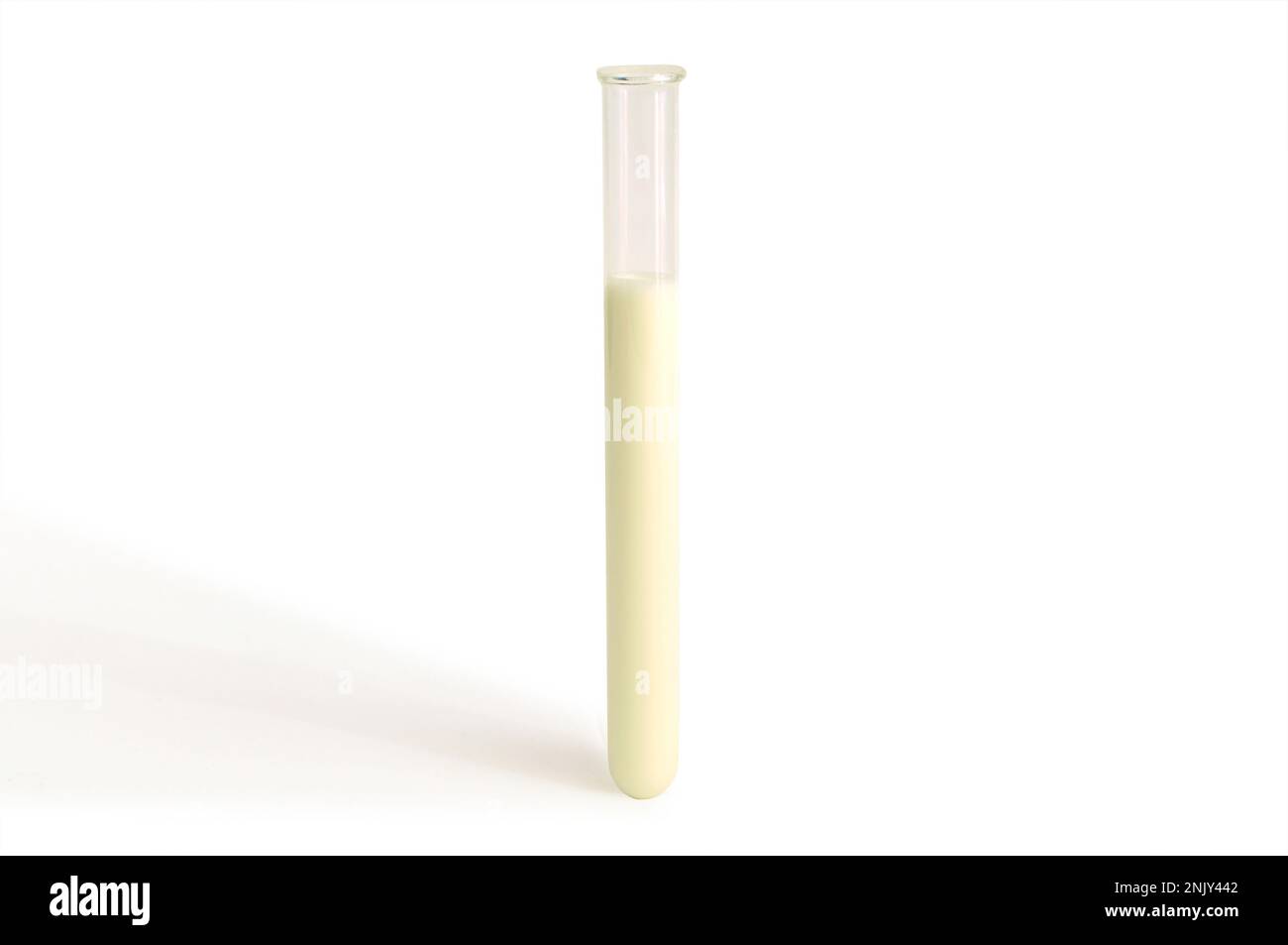 Milk in a test tube on a white background Stock Photo - Alamy