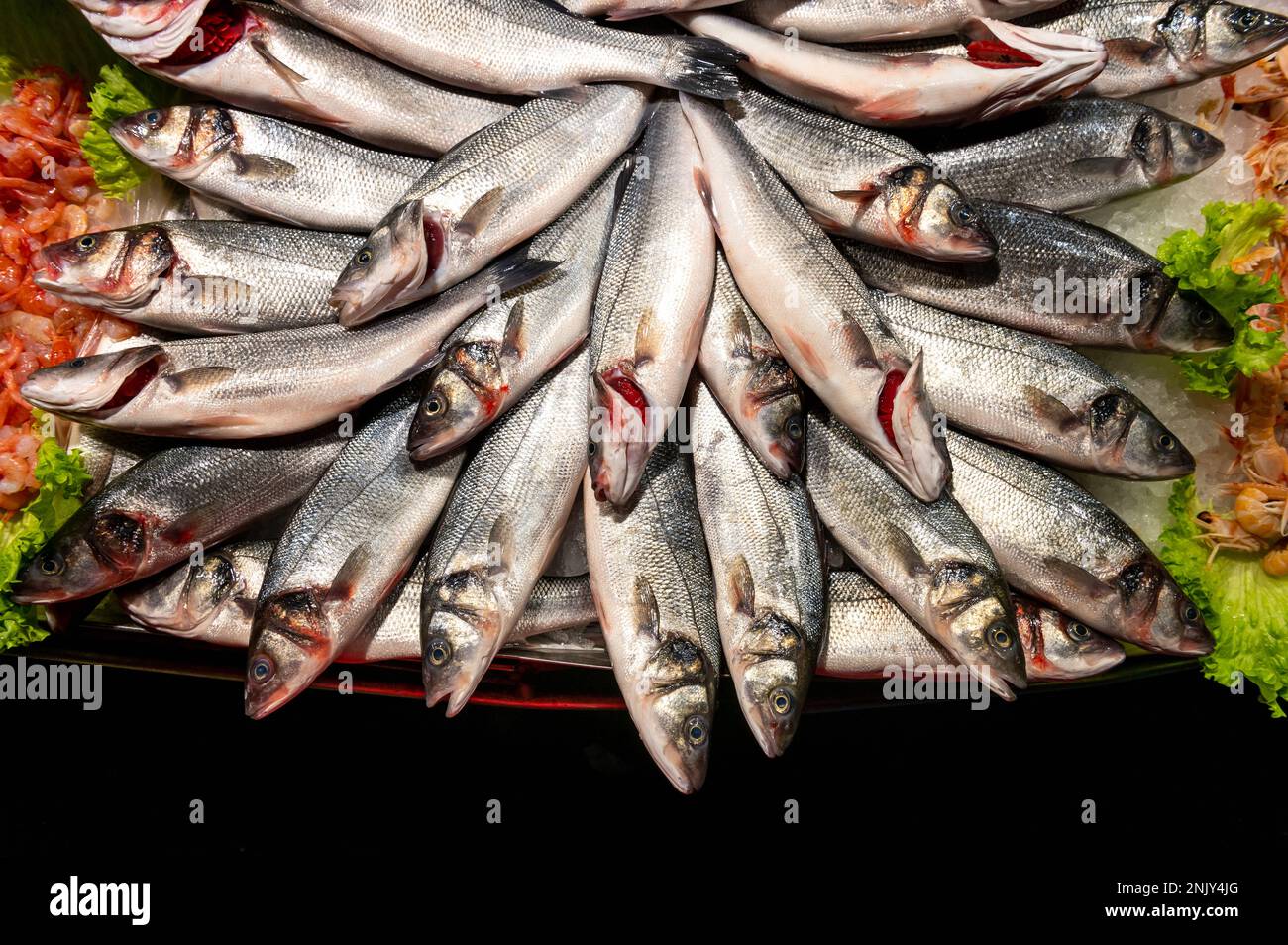 Coarse fishery hi-res stock photography and images - Alamy