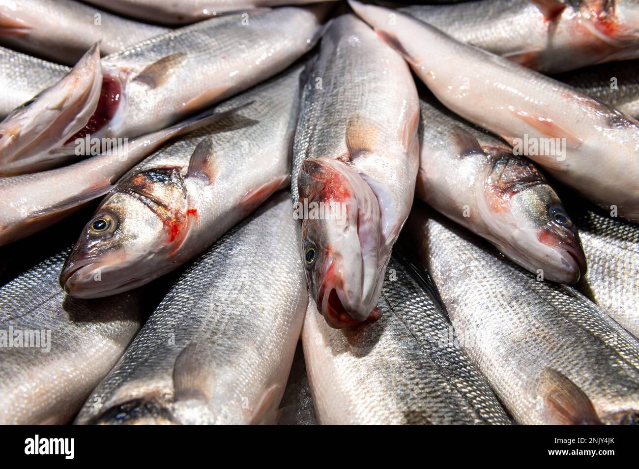 fresh fish laid out on the table with ice on fish market Stock Photo ...