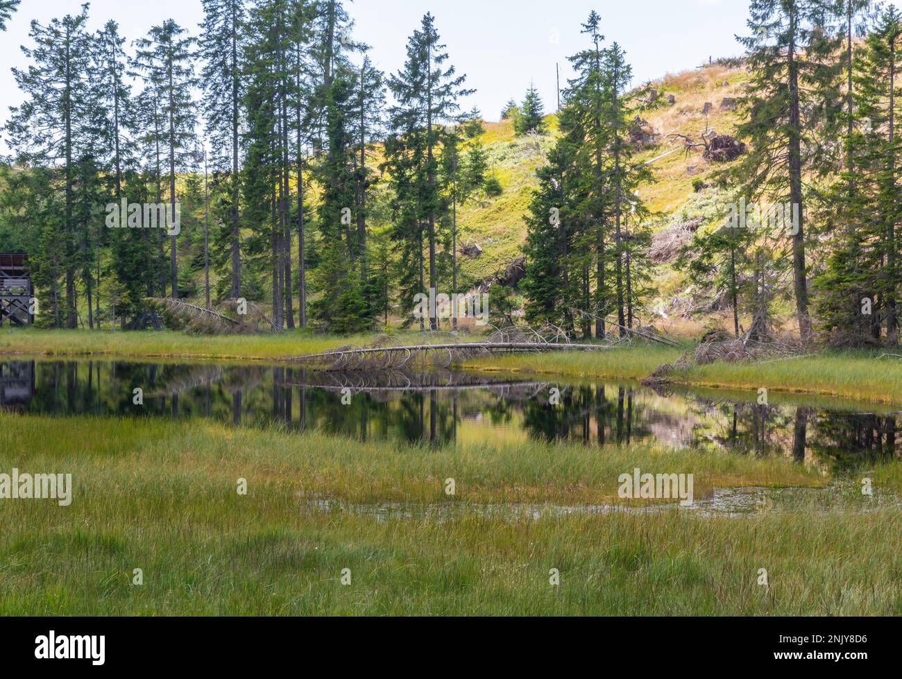 the Trudner Horn Nature Park (Italian: Parco naturale Monte Corno) is a ...
