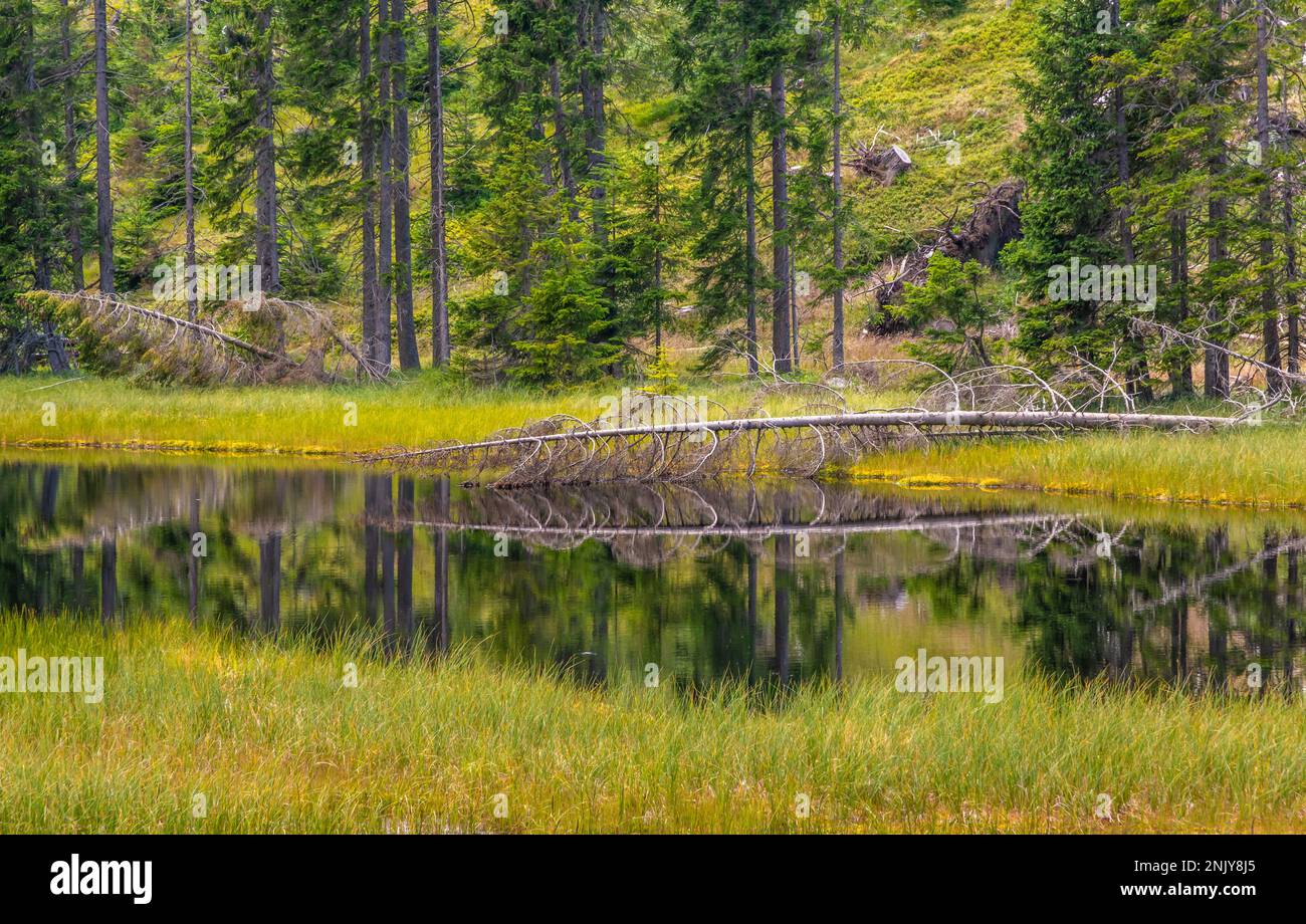 the Trudner Horn Nature Park (Italian: Parco naturale Monte Corno) is a ...