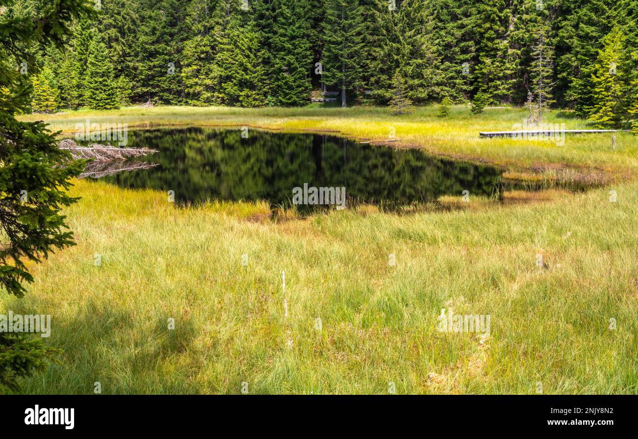 the Trudner Horn Nature Park (Italian: Parco naturale Monte Corno) is a ...