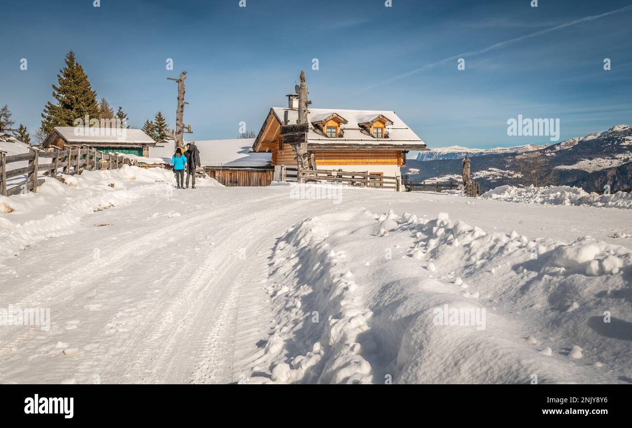 Horn alm at the Trudner Horn Nature Park (Italian: Parco naturale Monte ...