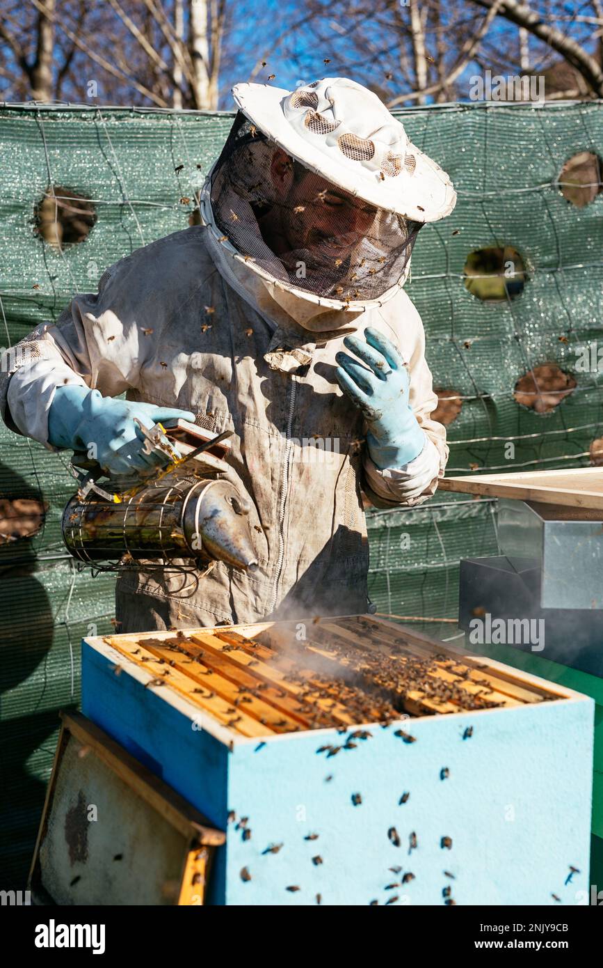 Beekeeper in special uniform working hi-res stock photography and ...