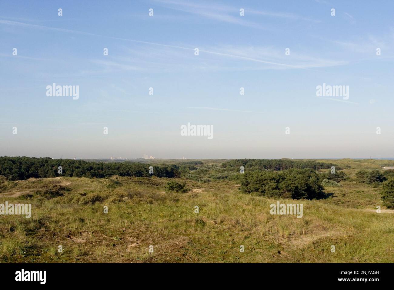 Dunes Wassenaarse Slag Wassenaar Netherlands, Duinen Wassenaarse slag ...
