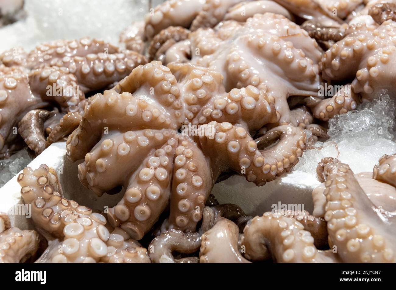 fresh octopus laid out on the table with ice on fish market Stock Photo ...