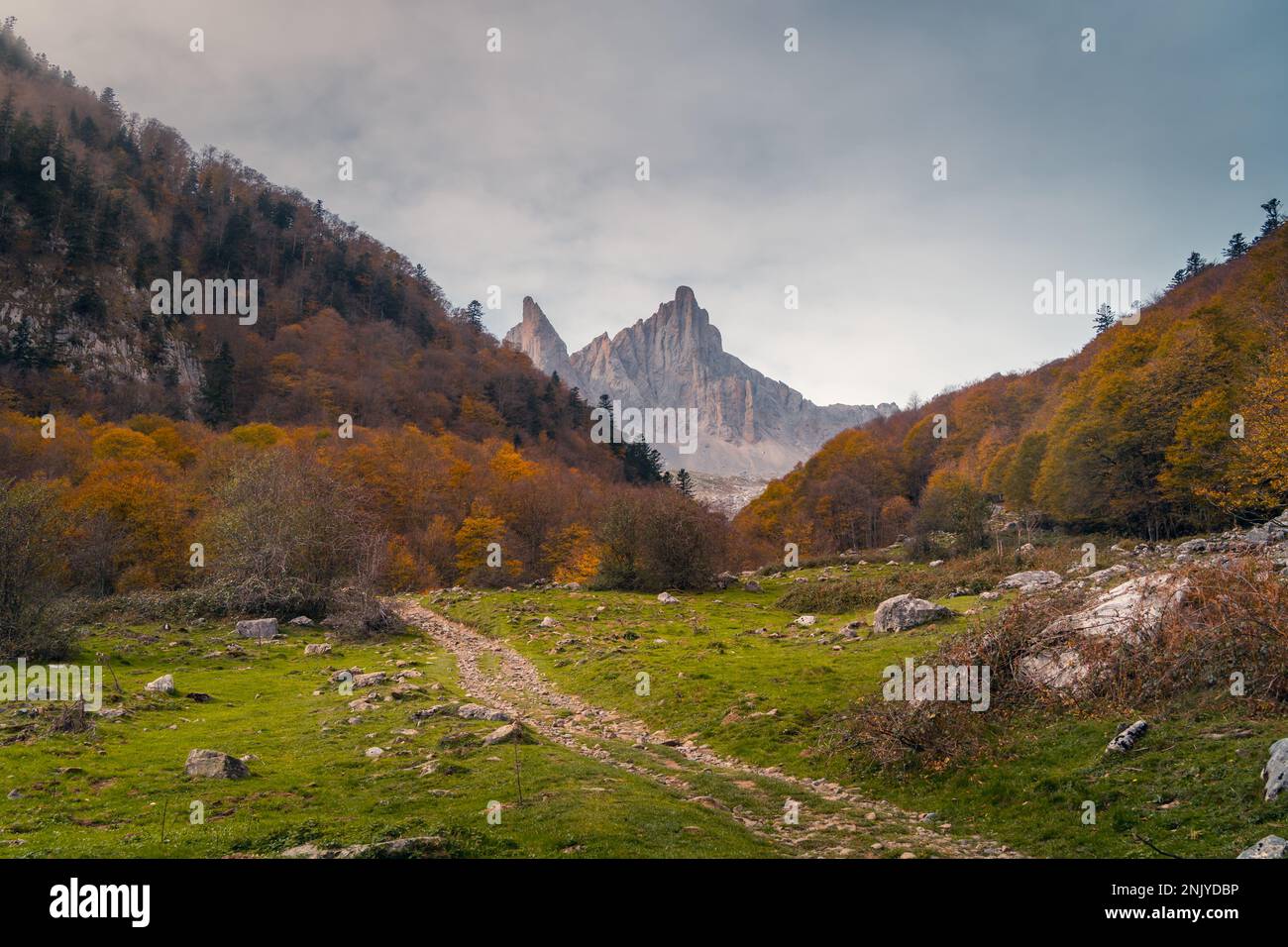 Picturesque landscape of Lescun valley with orange trees and needles of ...
