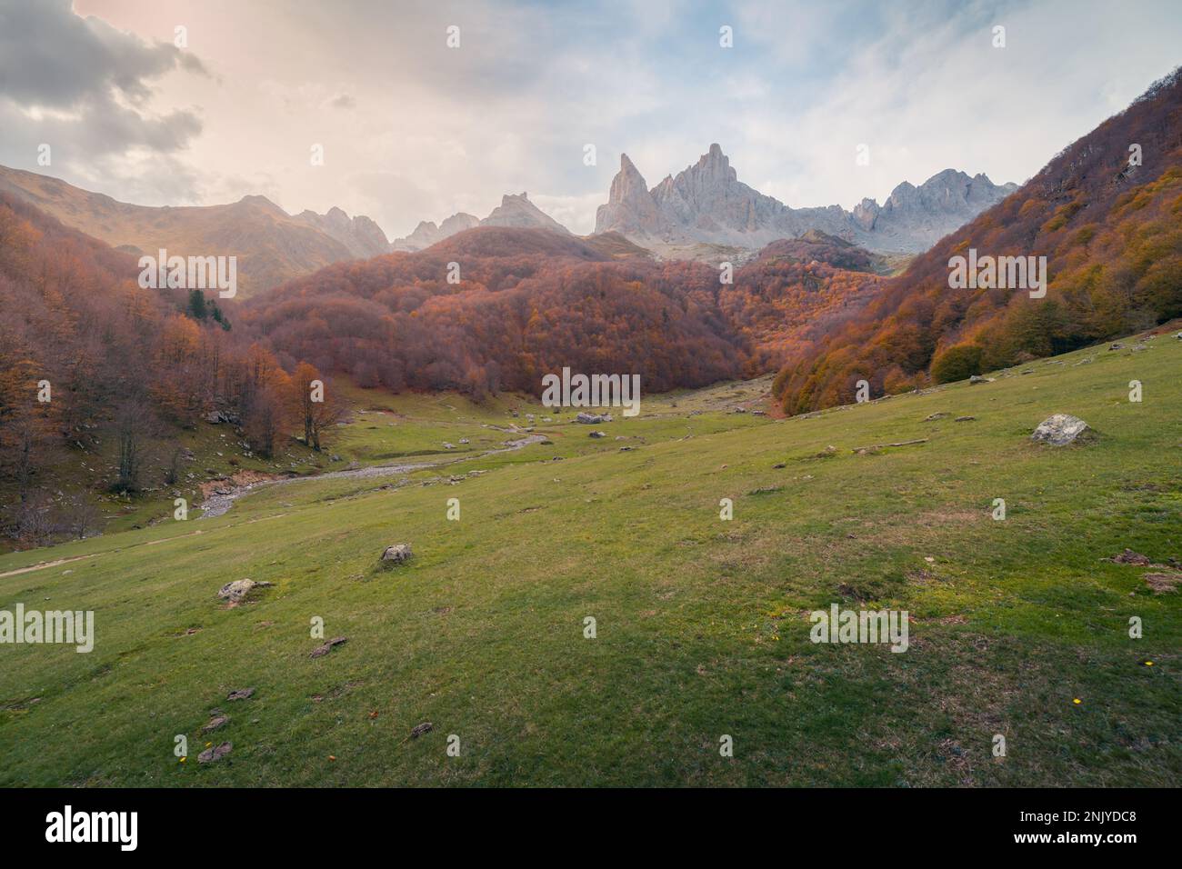 Picturesque view of green hilly terrain with fall orange trees growing ...