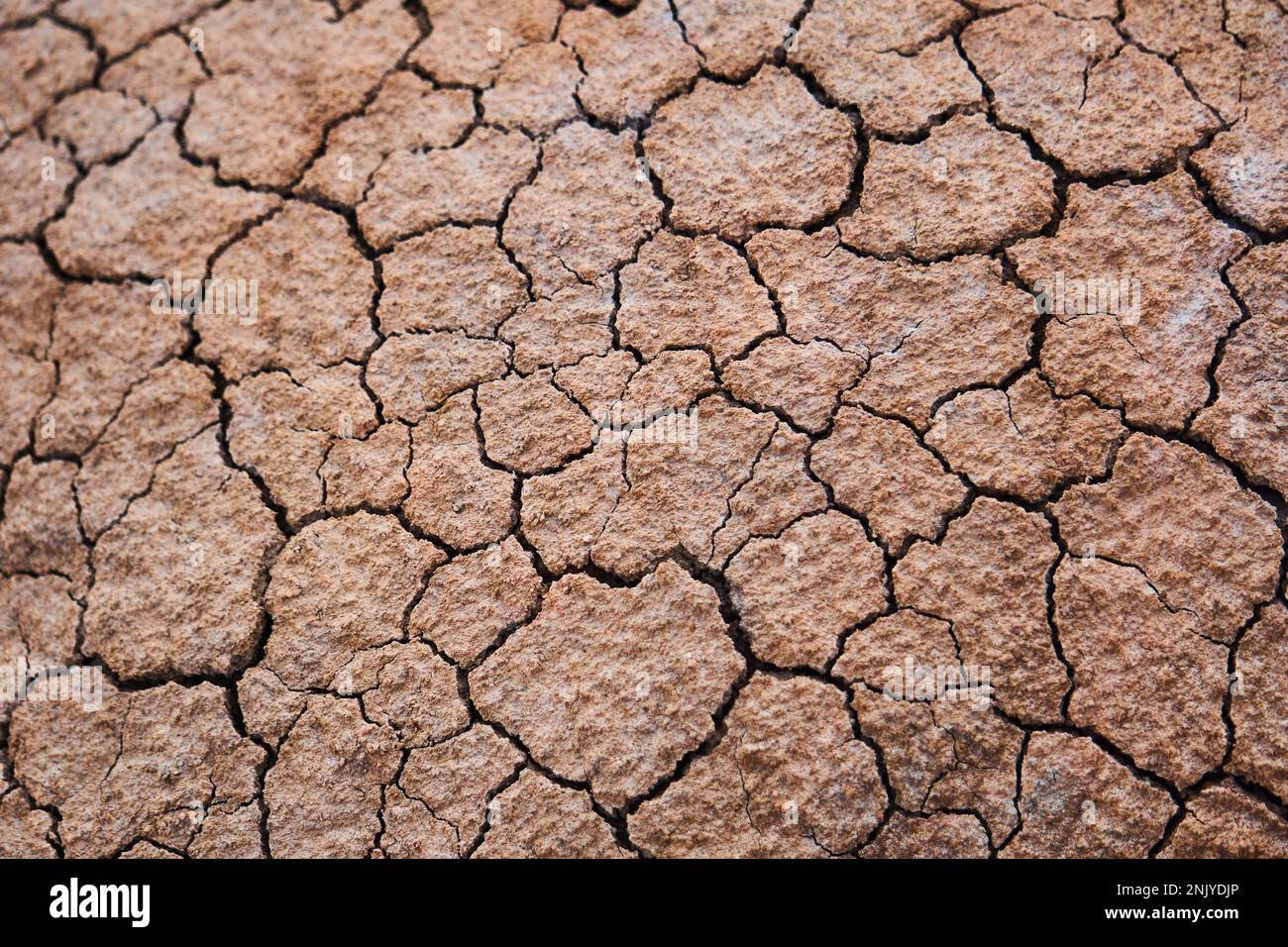 Full frame of textured uneven surface of brown dry sandstone with ...