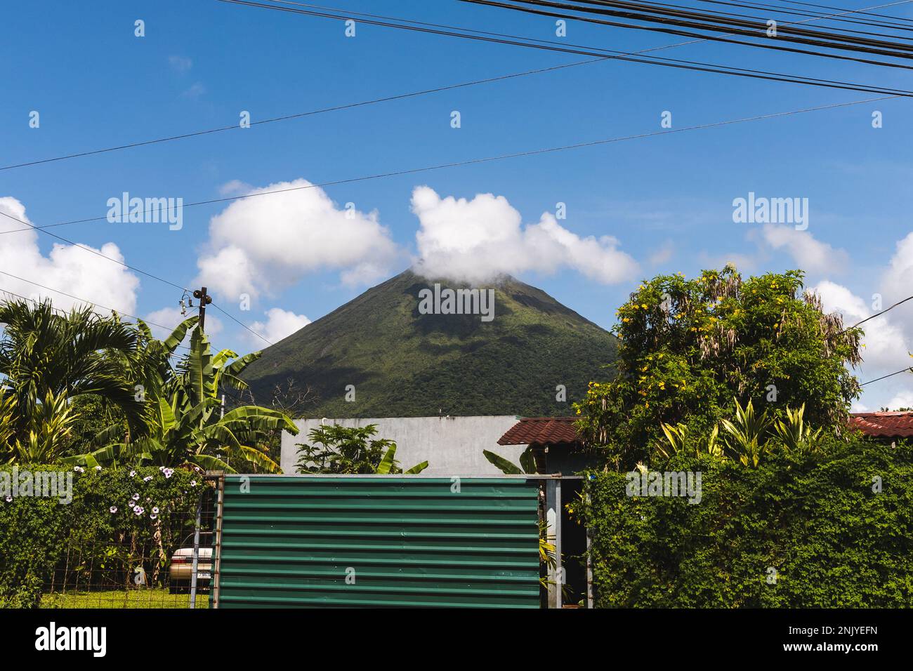 Exterior of small cottage surrounded by tropical trees and green fence ...