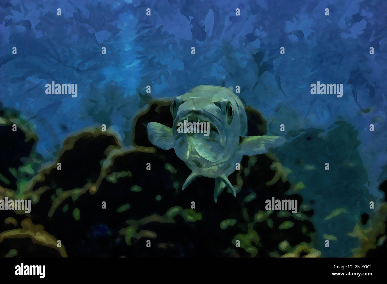 Digitally created watercolor painting of a large Great Barracuda ...