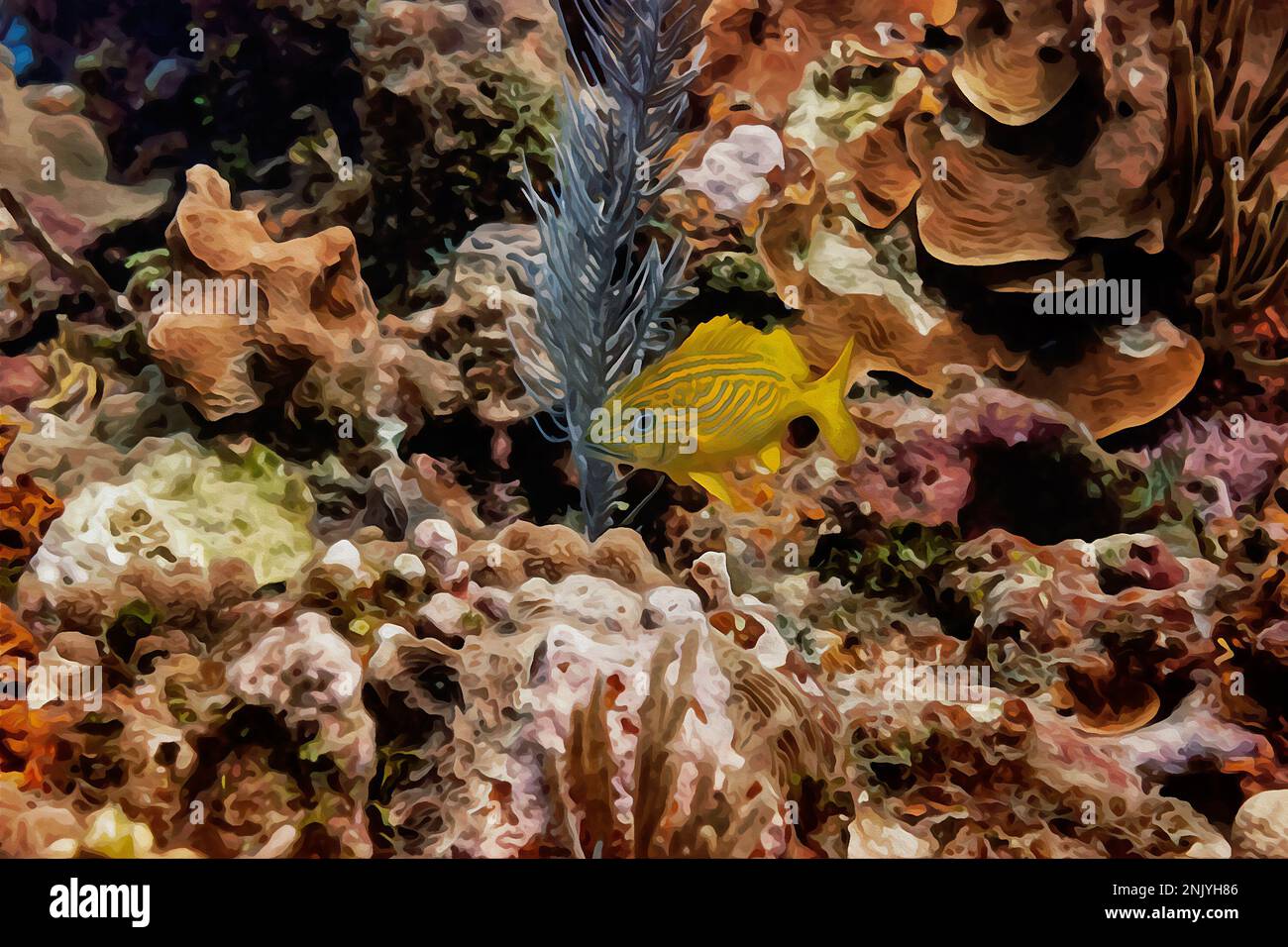 Digitally created watercolor painting of a French Grunt Swimming over a ...