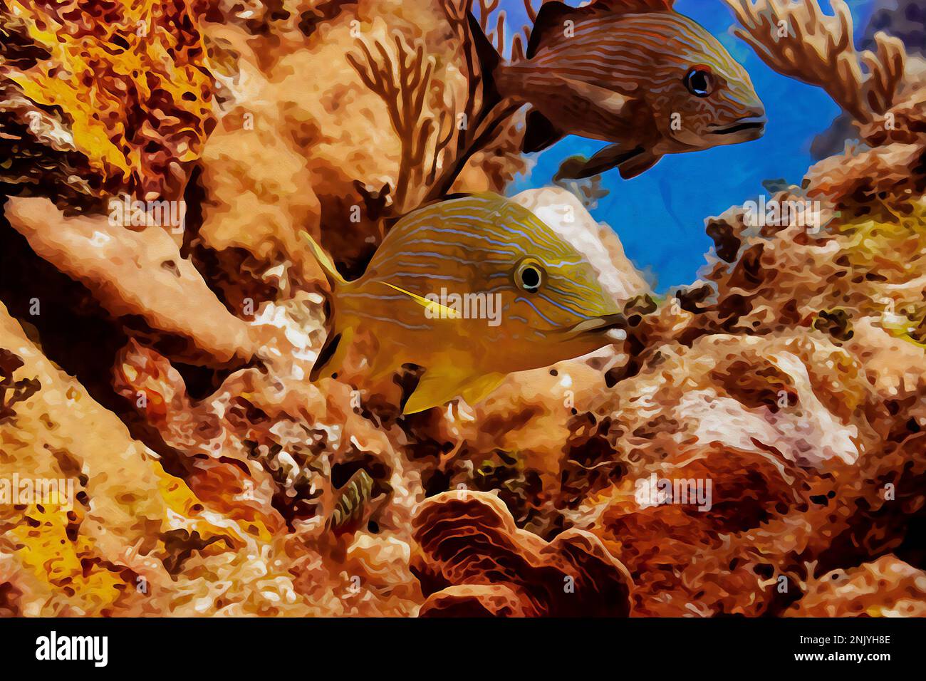 Digitally created watercolor painting of a French Grunts swimming over ...