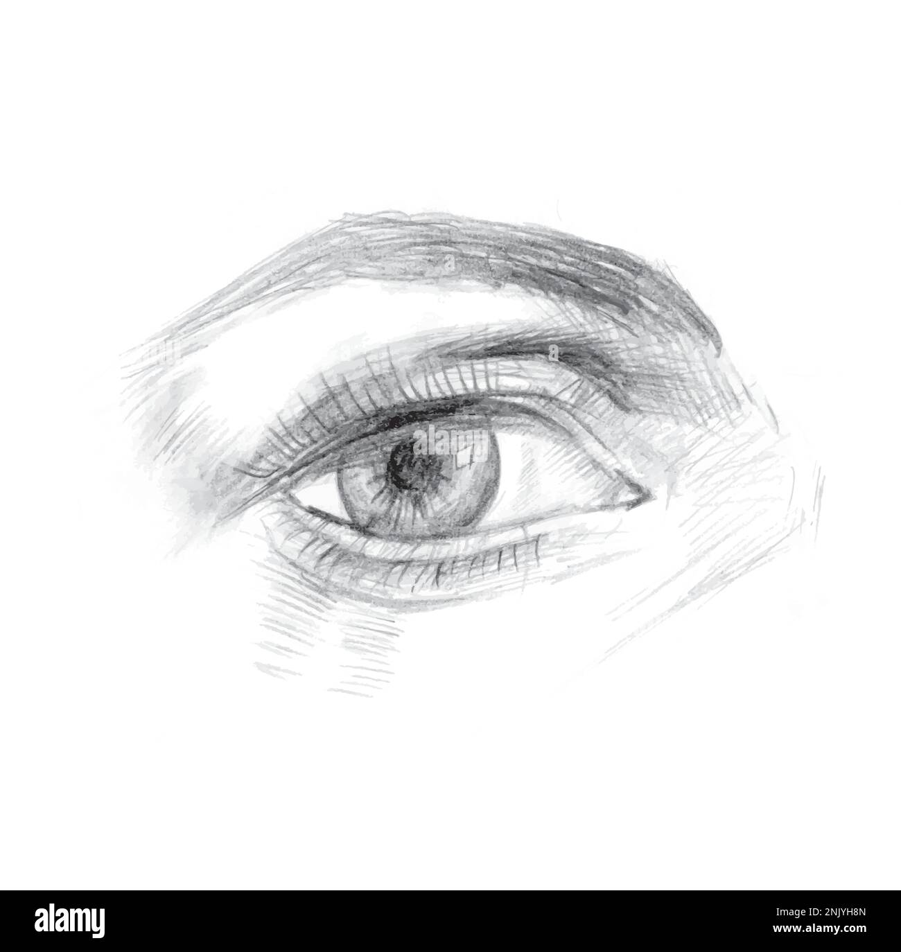 Hand drawn pencil sketch portrait Cut Out Stock Images & Pictures - Alamy