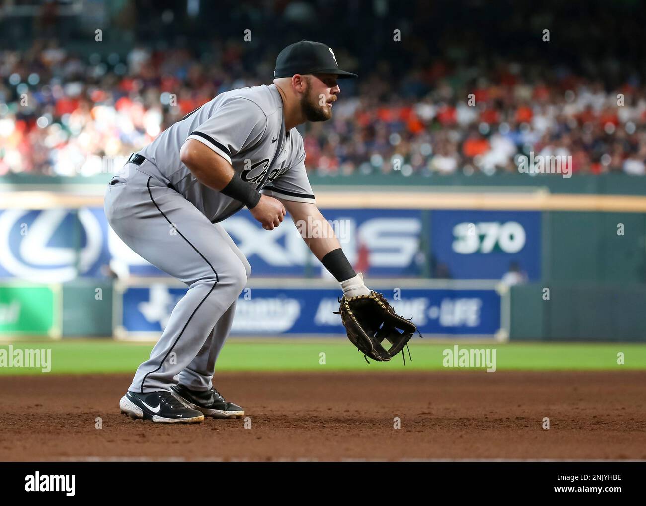 HOUSTON, TX - JUNE 18: Chicago White Sox shortstop Danny Mendick (20 ...